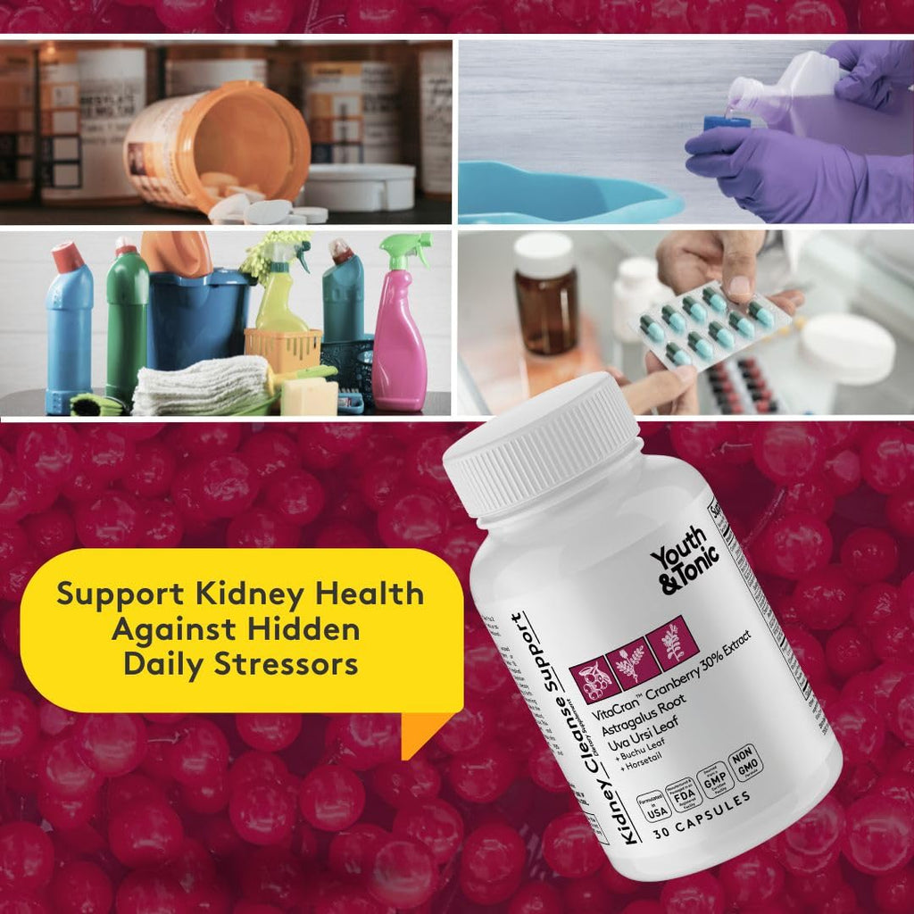 Supportive supplement for kidney function