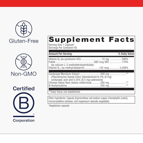 supportive supplements for kidney function