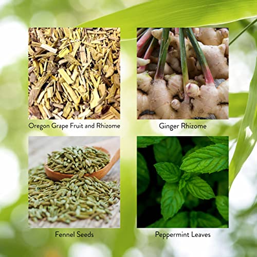 supportive vitamins for gallbladder function