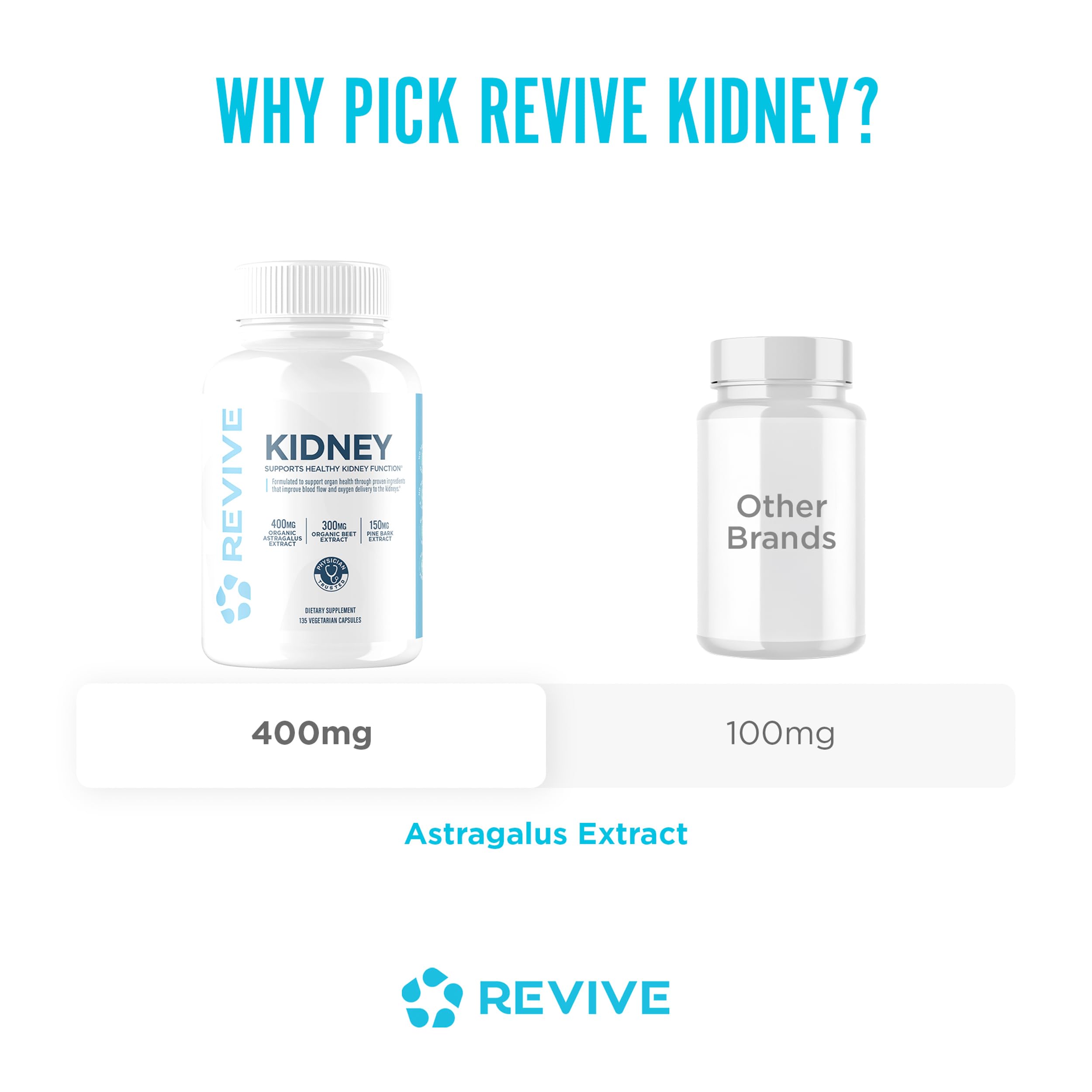 supportive vitamins for kidney function