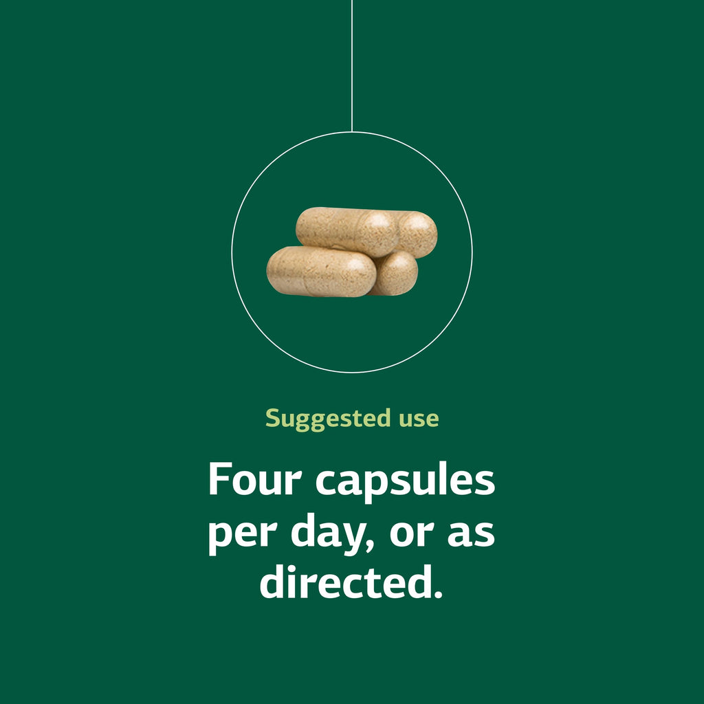 supports bone density and strength