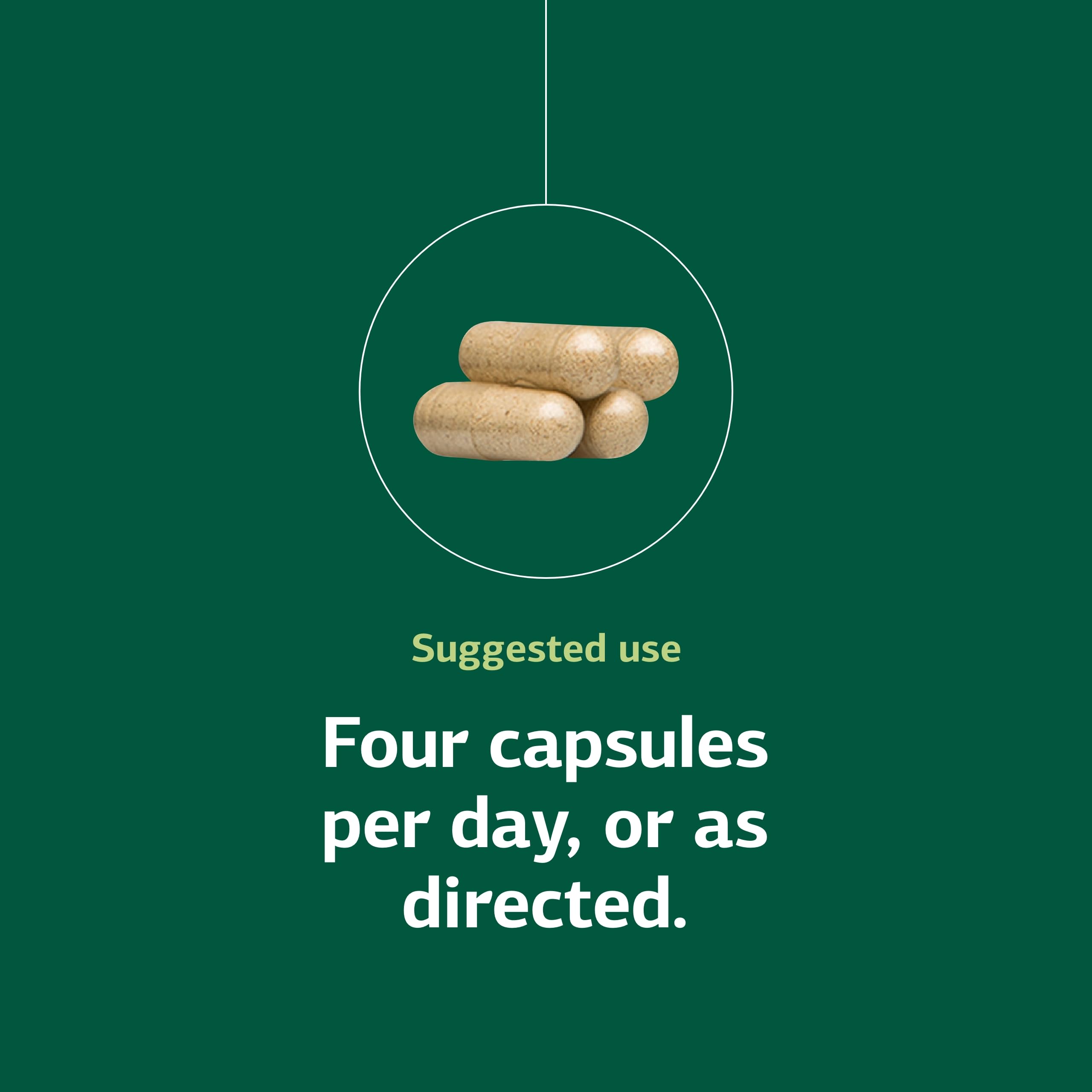 supports bone density and strength