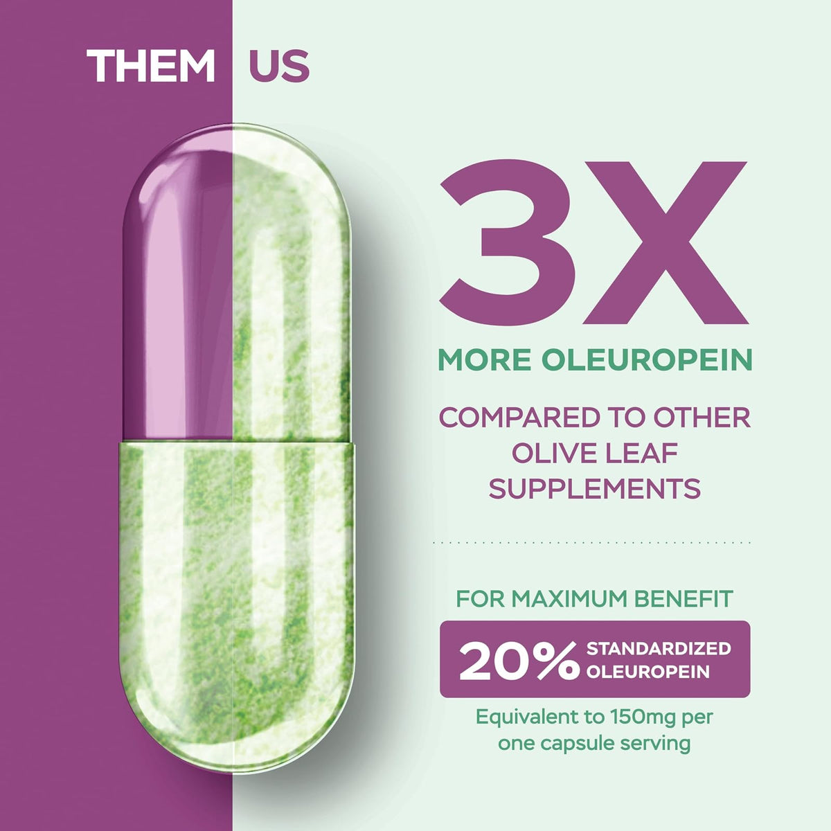 Supports cardiovascular health olive leaf
