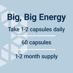 supports cellular energy production