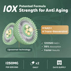 Supports cellular energy production