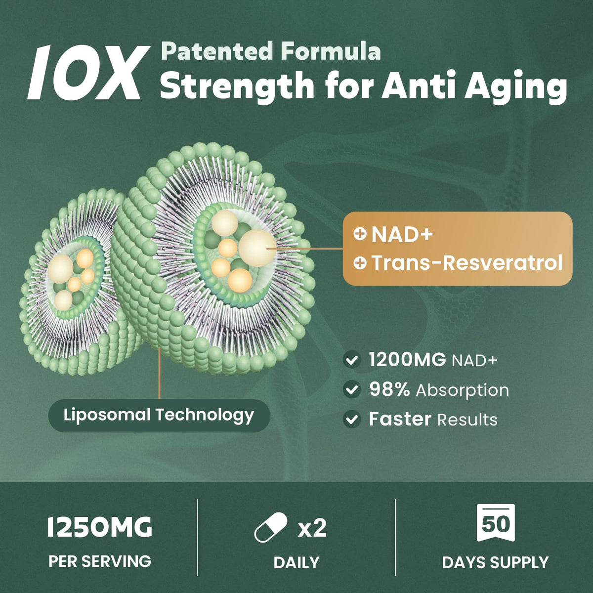 Supports cellular energy production
