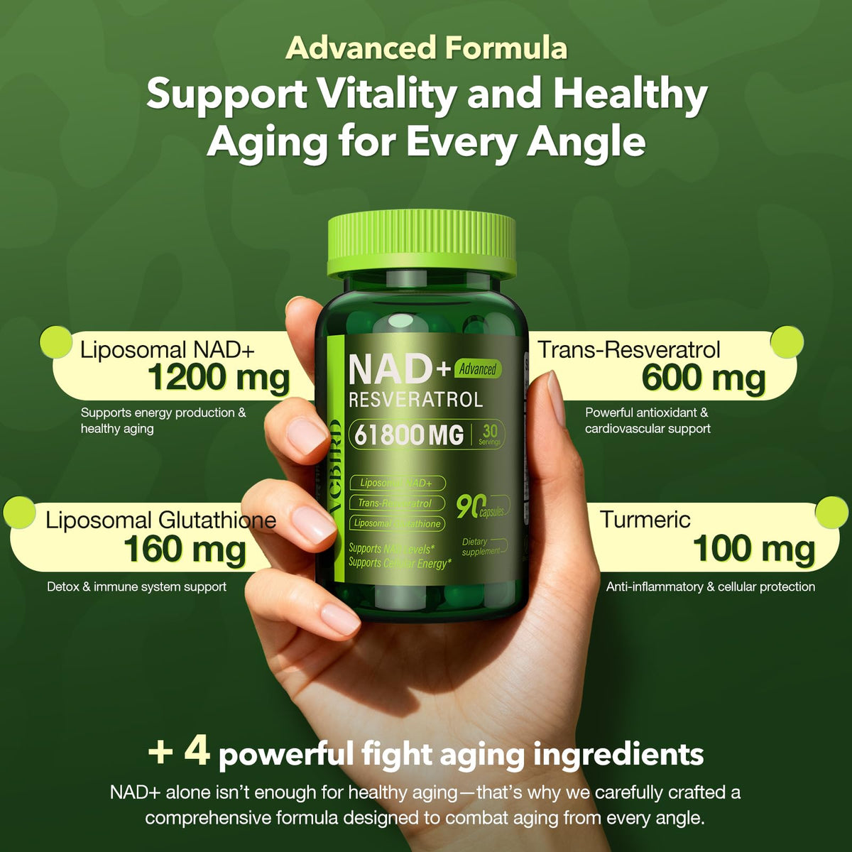 Supports cellular energy production