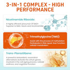 Supports cellular energy production