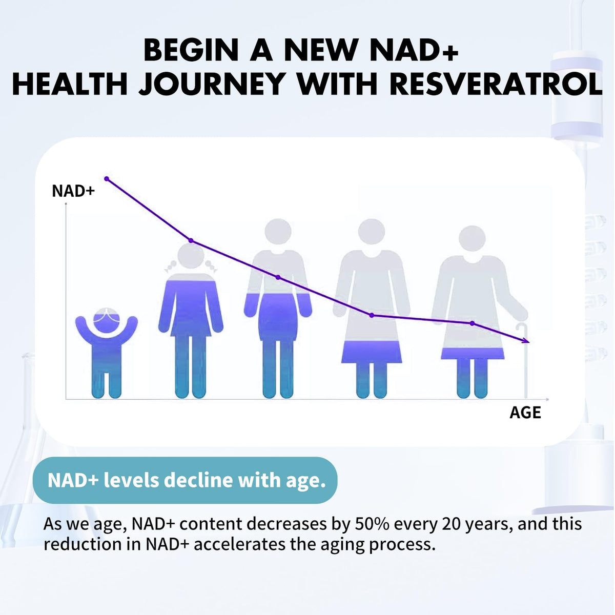 Supports cellular health with NAD+