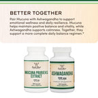 Supports cognitive function with Mucuna