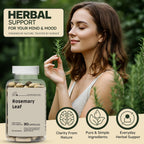 supports cognitive health vitamins