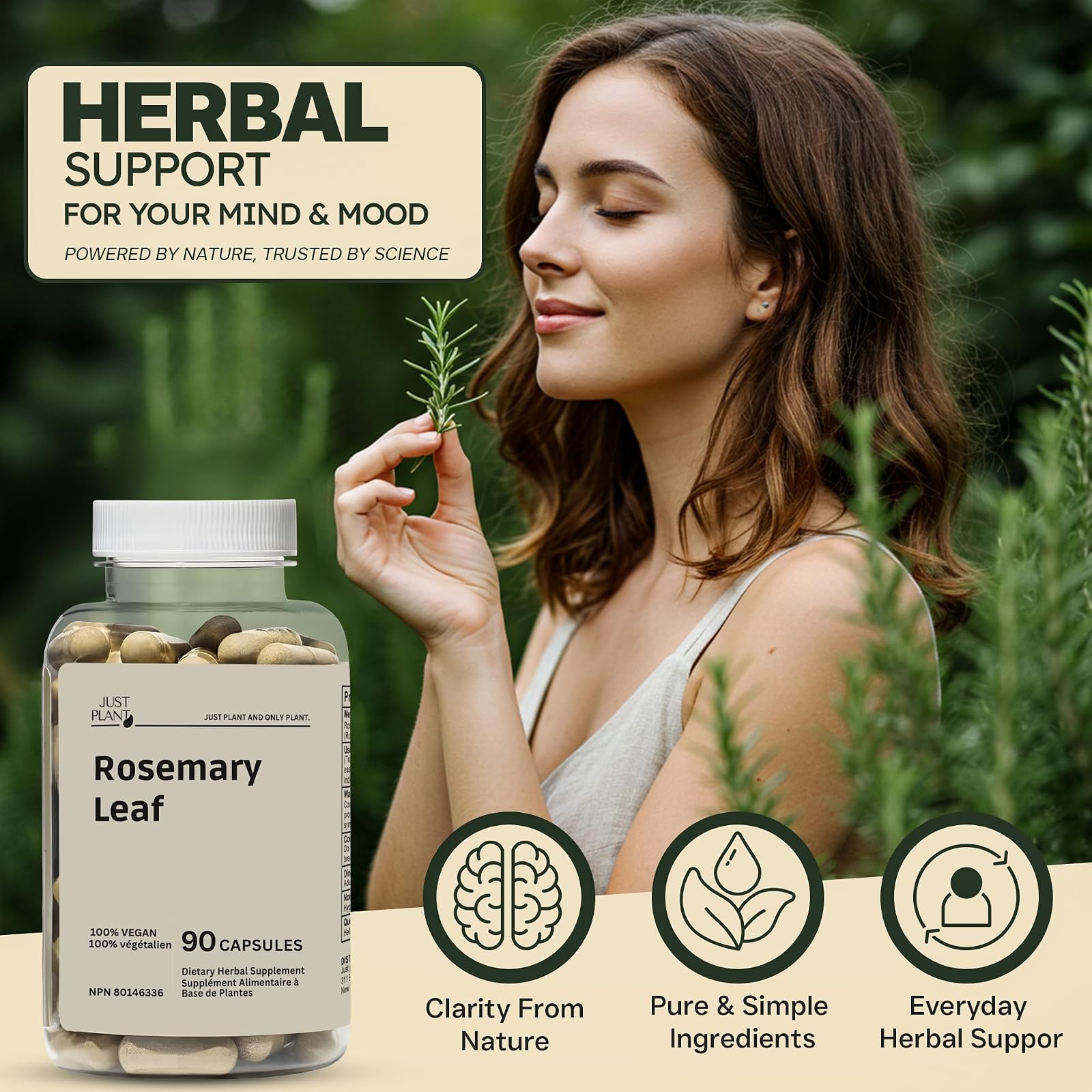 supports cognitive health vitamins