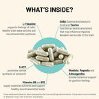 supports energy levels vitamin b complex