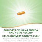supports energy metabolism vitamin b complex