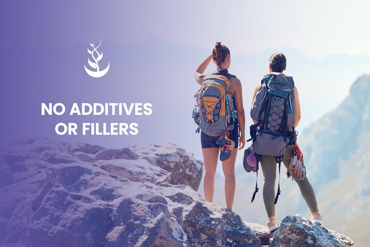 supports eye health bilberry extract