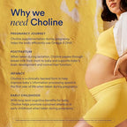 Supports fetal brain development