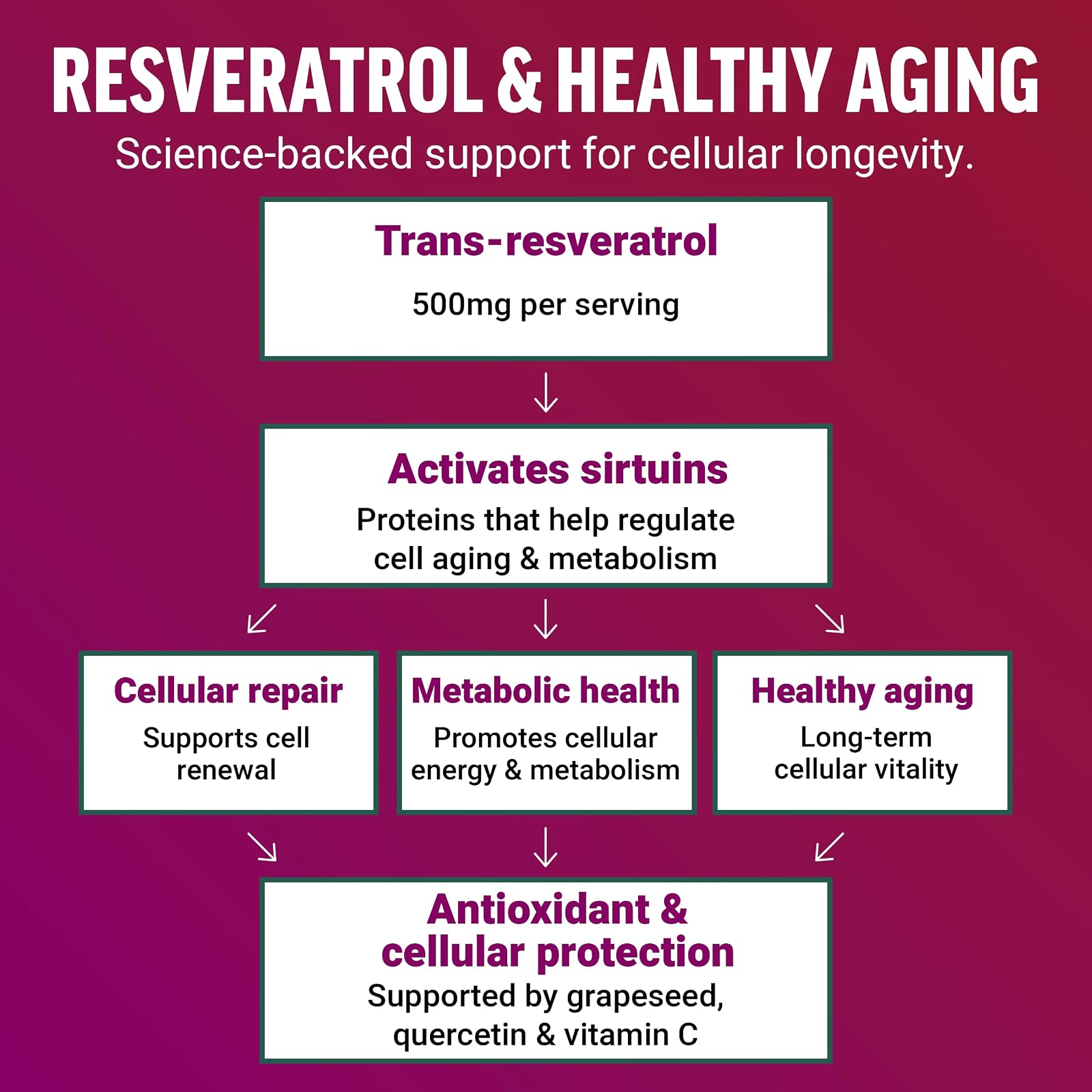supports healthy aging with antioxidants
