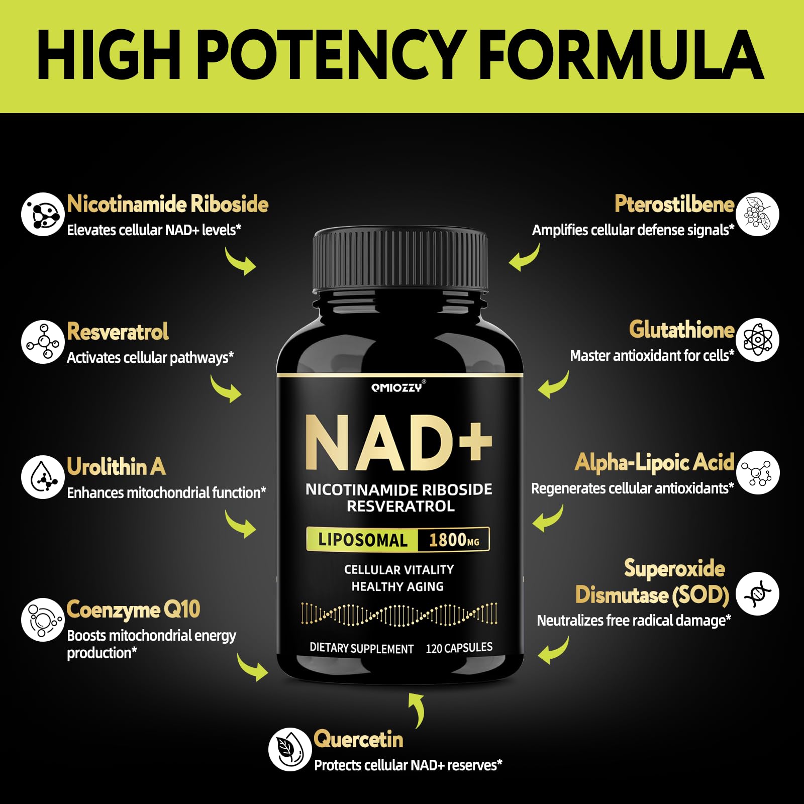 Supports healthy aging with NAD