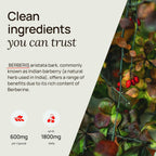 Supports healthy blood sugar levels
