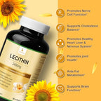 supports healthy brain function