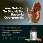 Supports Healthy Calcium Absorption