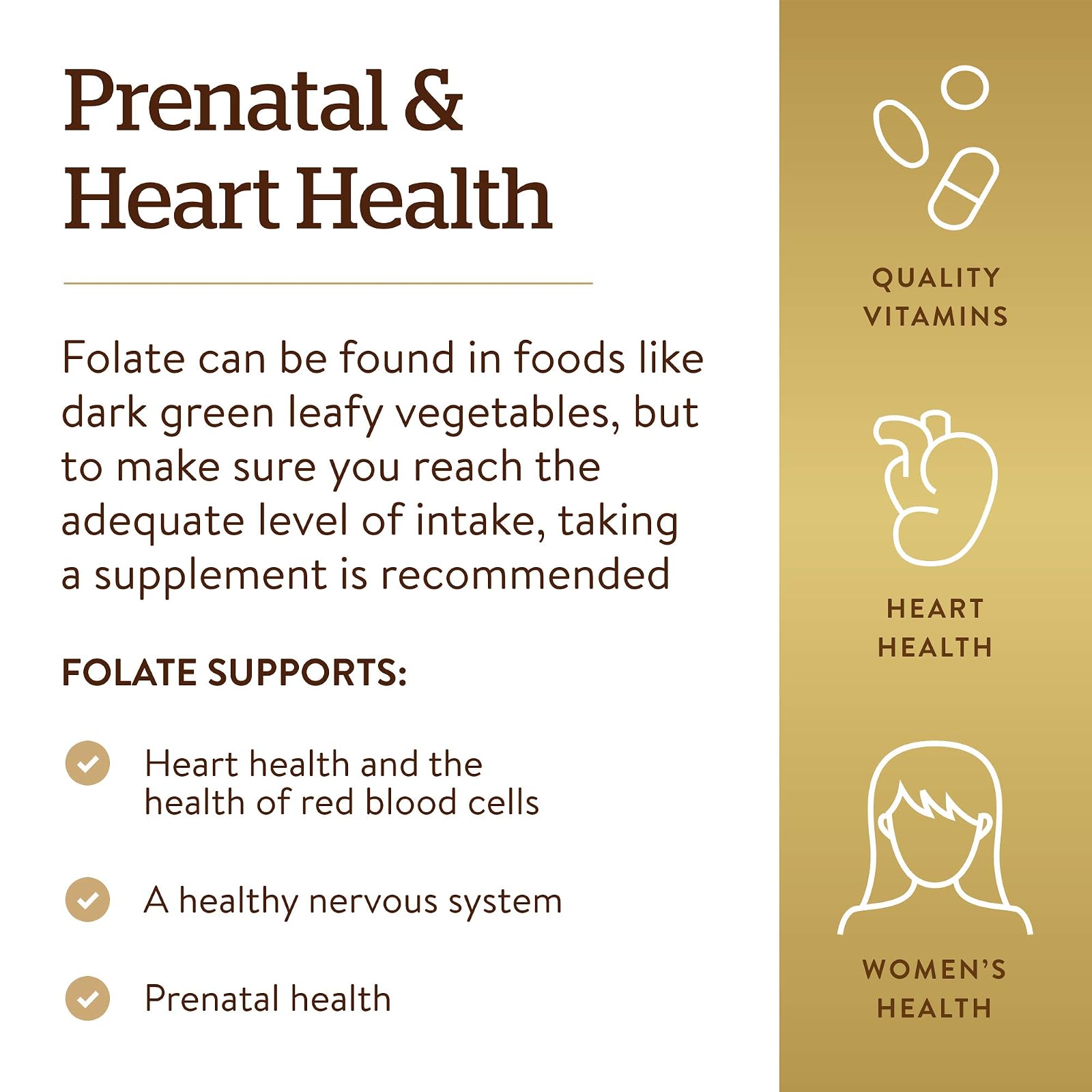 supports healthy cell function folate