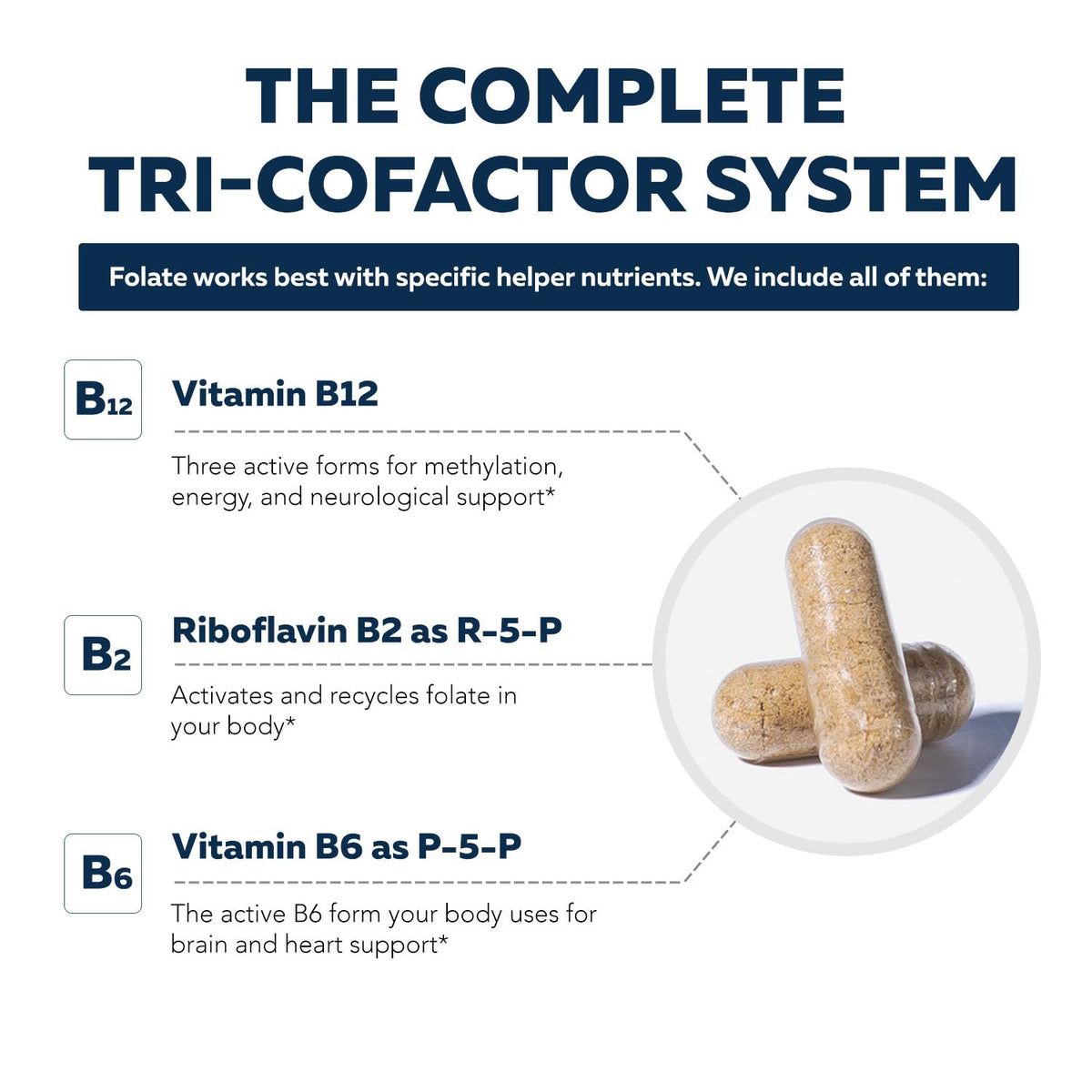 Supports healthy folate levels