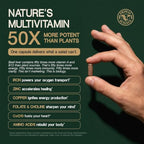 Supports healthy liver function