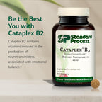 supports healthy metabolism vitamin b2