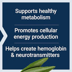 Supports healthy metabolism with B5