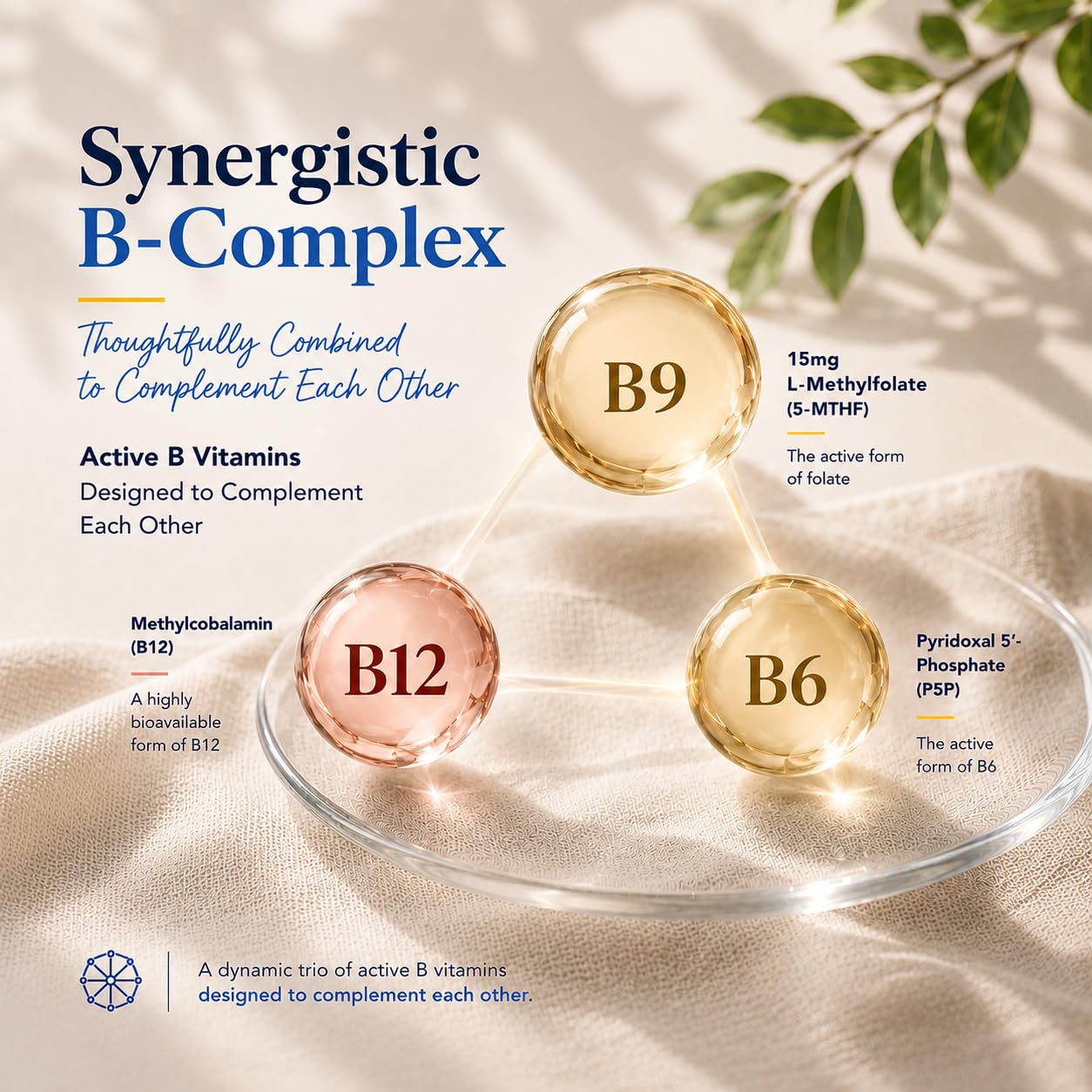 supports healthy methylation processes