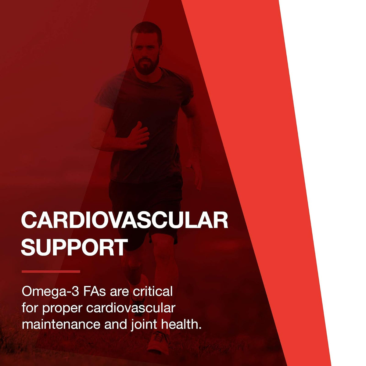 Supports heart and brain health