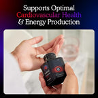 Supports heart health with CoQ10