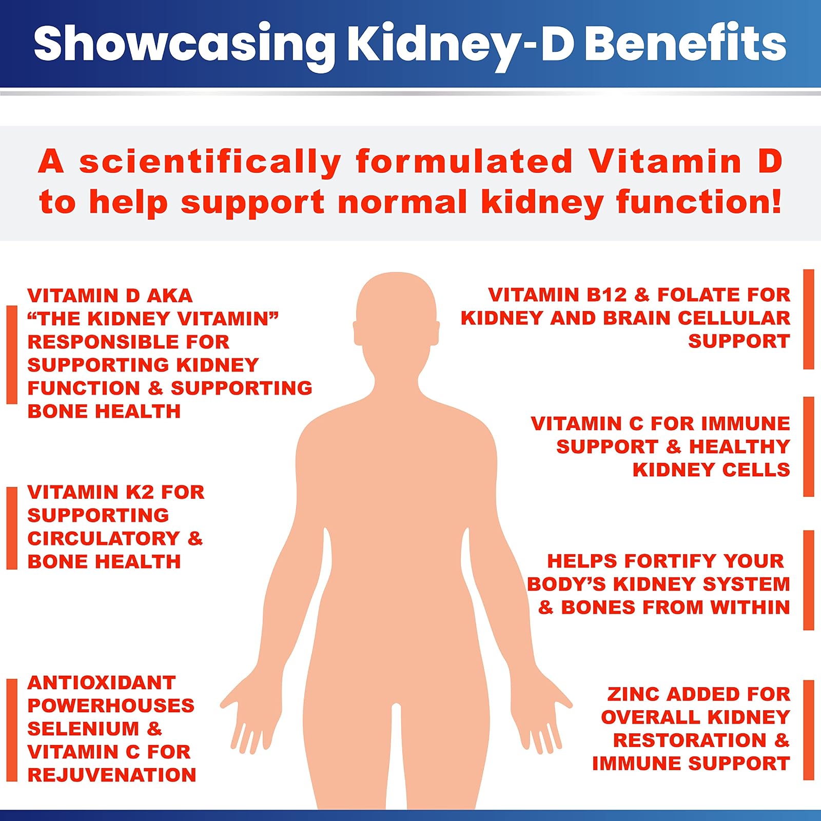 Supports immune function vitamin D