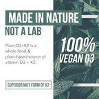 supports immune health vitamin d