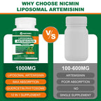 Supports immune system health