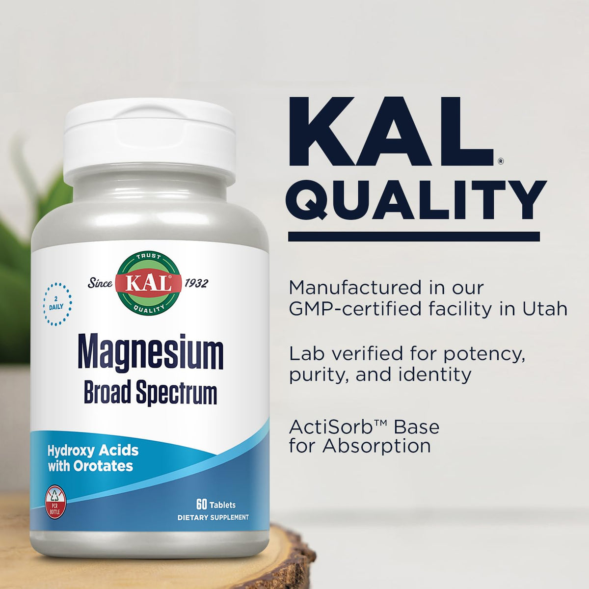 Supports muscle function and recovery