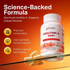 Supports muscle recovery with Urolithin A
