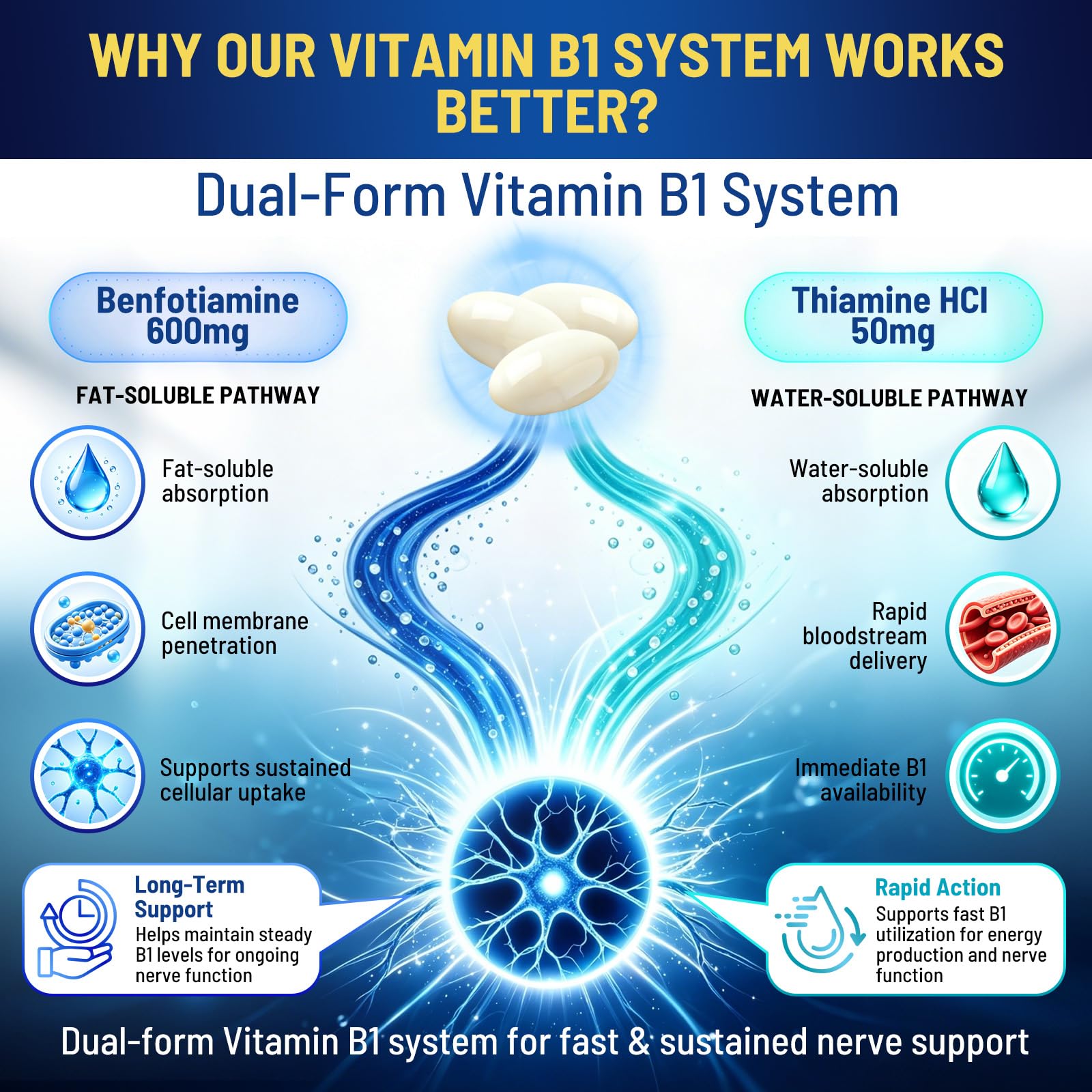 Supports nerve health with Benfotiamine