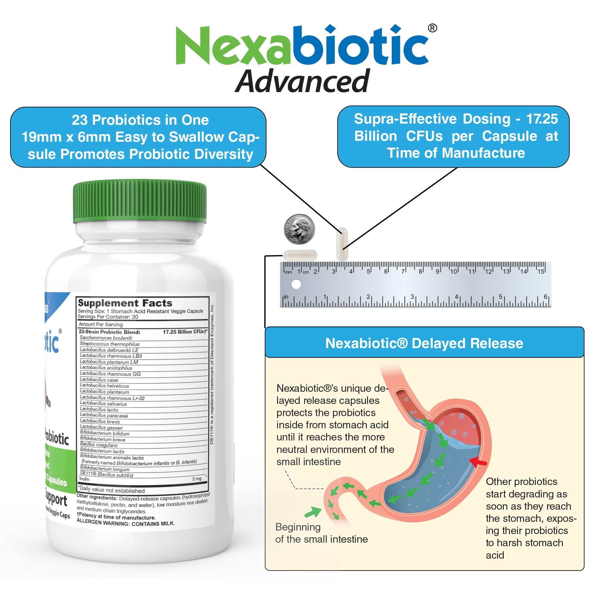 supports overall gut microbiome health