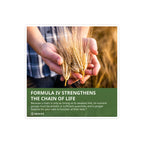 supports overall health and wellness