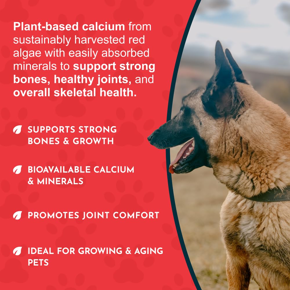 supports overall pet health and vitality