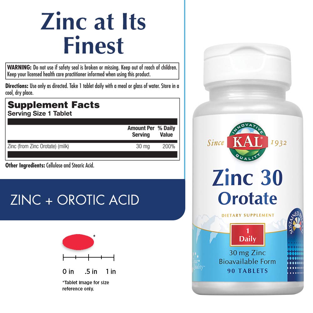 supports protein synthesis zinc