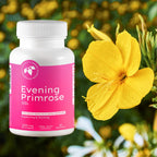 Supports skin health and beauty