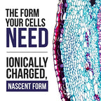 supports thyroid function with iodine