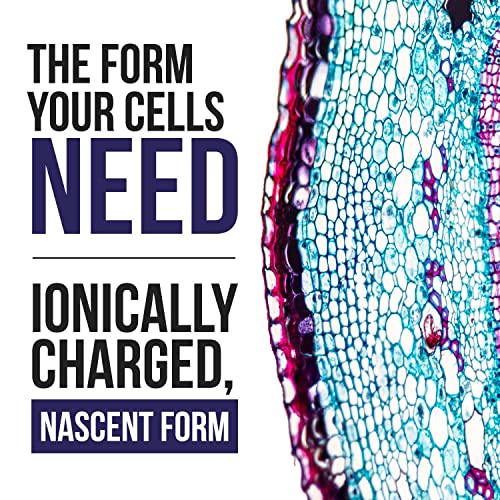 supports thyroid function with iodine