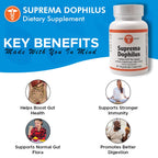 Suprema Dophilus for overall health