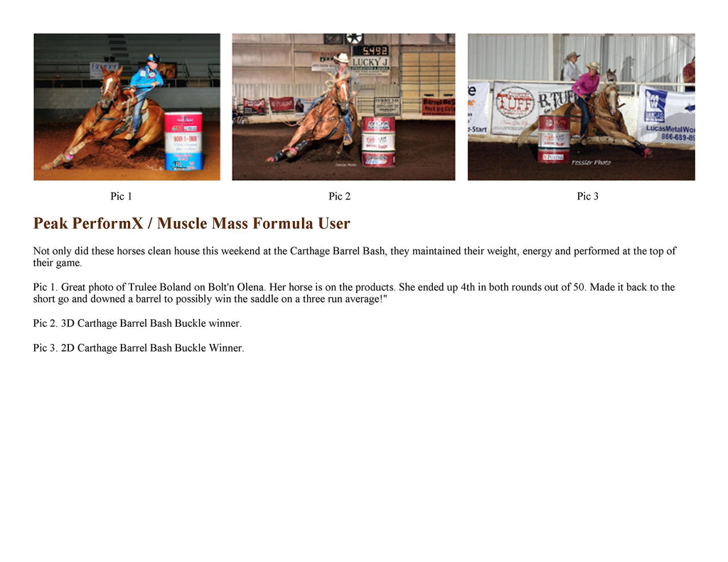 Supreme Soul health supplements for horses