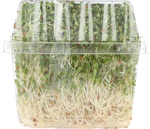 sustainable alfalfa for eco-friendly eating