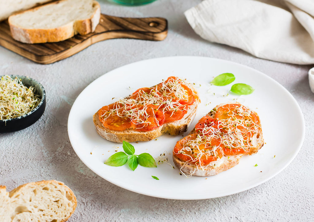 sustainable alfalfa seeds for eco-friendly living